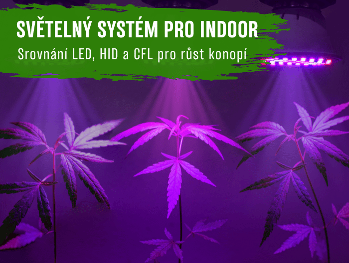Jak vybrat světelný systém pro indoor pěstování? | Svět Semínek